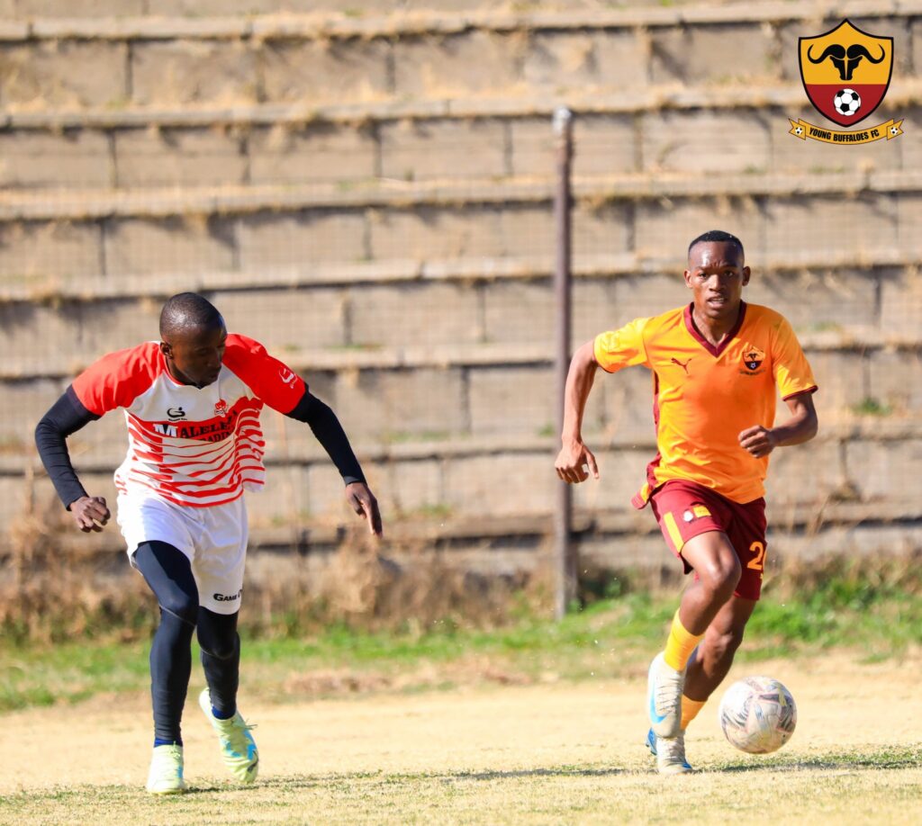 Buffaloes fire warning shot - Eswatini Observer